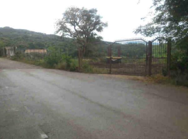 Terreno agricolo in vendita a Caronia