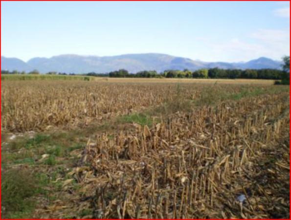 Terreno agricolo in vendita a Vivaro