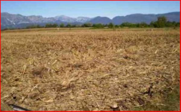Terreno agricolo in vendita a Vivaro
