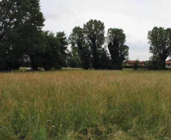 Terreno edificabile residenziale in vendita a Pioltello