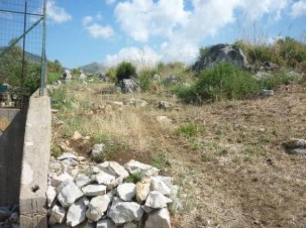 Terreno agricolo in vendita a Monreale