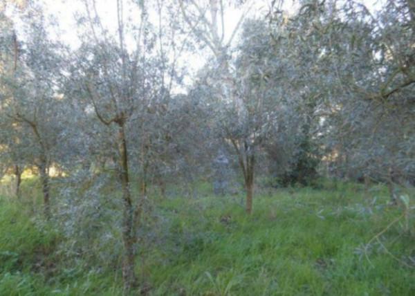 Terreno agricolo in vendita a Latina