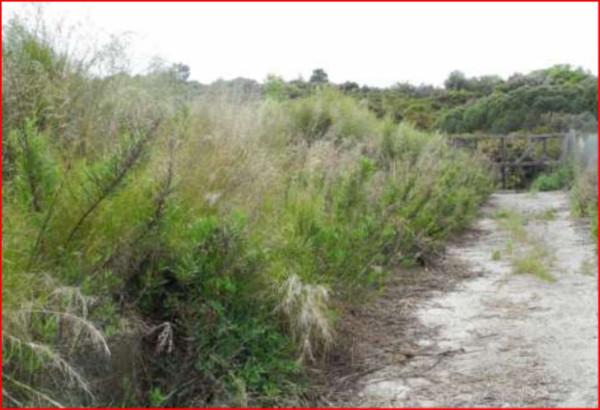 Terreno agricolo in vendita a Bordighera
