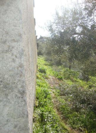 Appartamento in vendita a Posta Fibreno