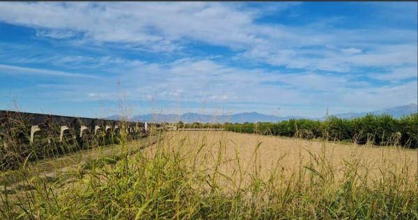 Terreno agricolo in vendita a Corigliano-Rossano