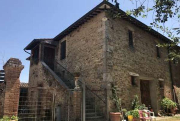 Terreno agricolo in vendita a Asciano