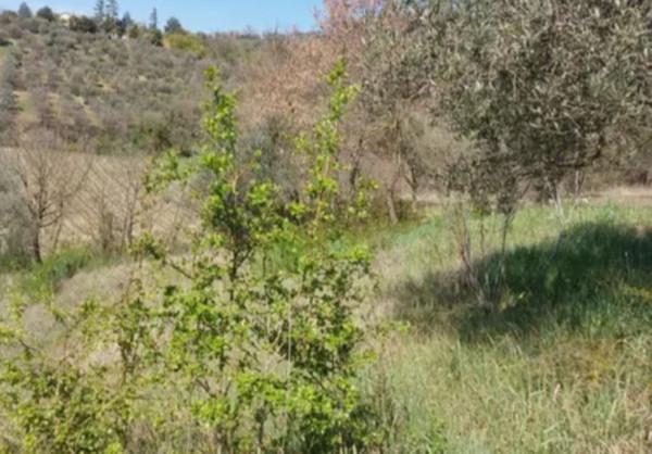 Terreno edificabile residenziale in vendita a Magione