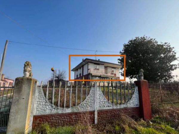 Appartamento in vendita a Campolongo Maggiore