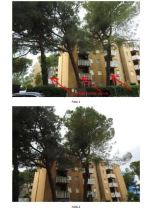 Appartamento in vendita a Silvi