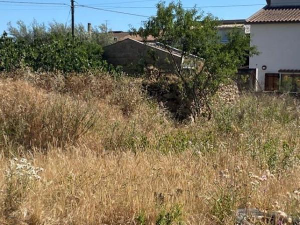 Terreno agricolo in vendita a Comiso