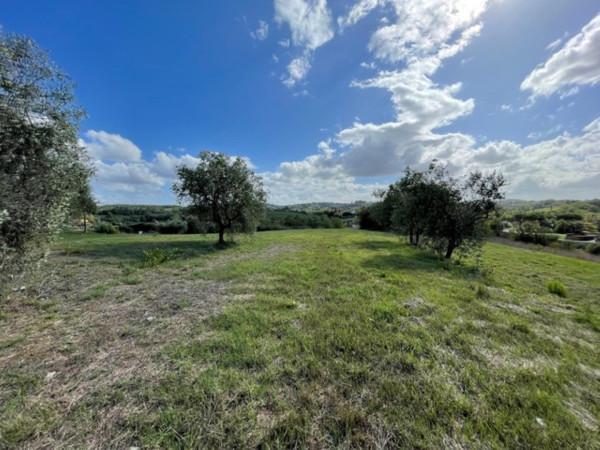 Terreno edificabile residenziale in vendita a Montopoli In Val D'Arno