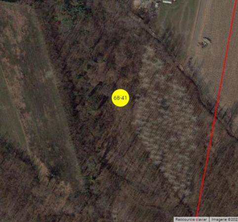 Terreno agricolo in vendita a Pinerolo