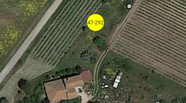 Terreno agricolo in vendita a Dolianova