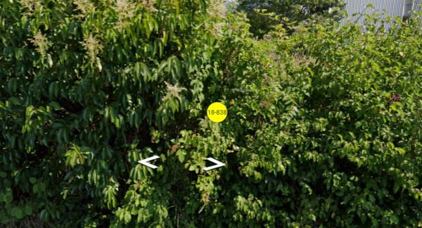 Terreno edificabile commerciale in vendita a Tarcento