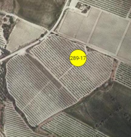 Terreno agricolo in vendita a Caltanissetta