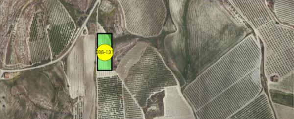 Terreno agricolo in vendita a Caltanissetta