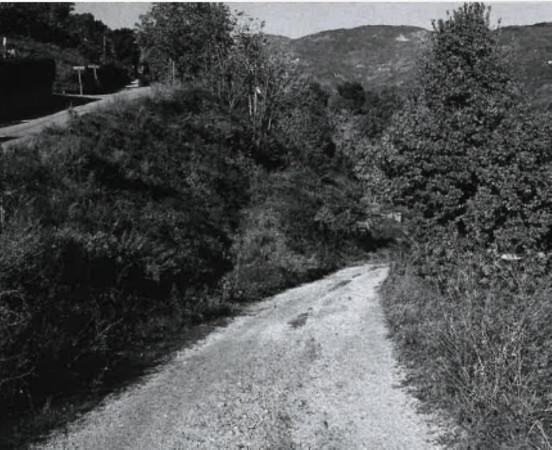 Terreno agricolo in vendita a Platania