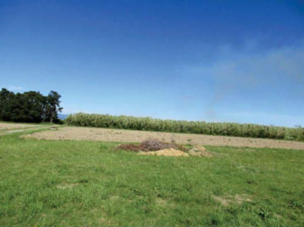 Terreno agricolo in vendita a Lamezia Terme