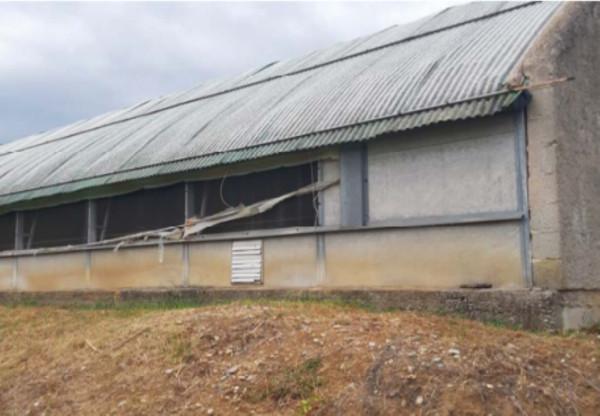 Terreno agricolo in vendita a Corigliano-Rossano