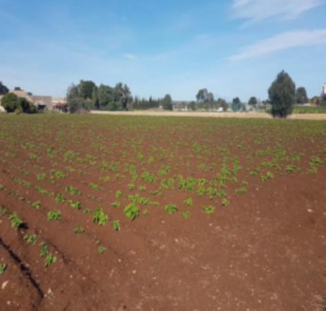 Appartamento in vendita a Siracusa