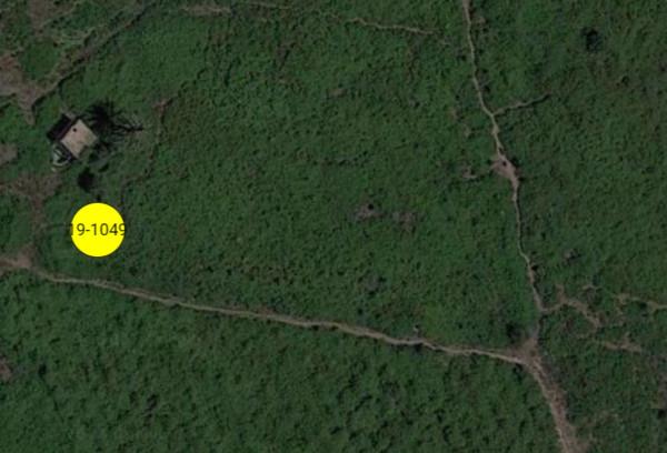 Terreno agricolo in vendita a Lentini