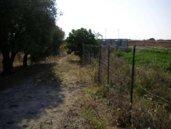 Terreno agricolo in vendita a Cingoli