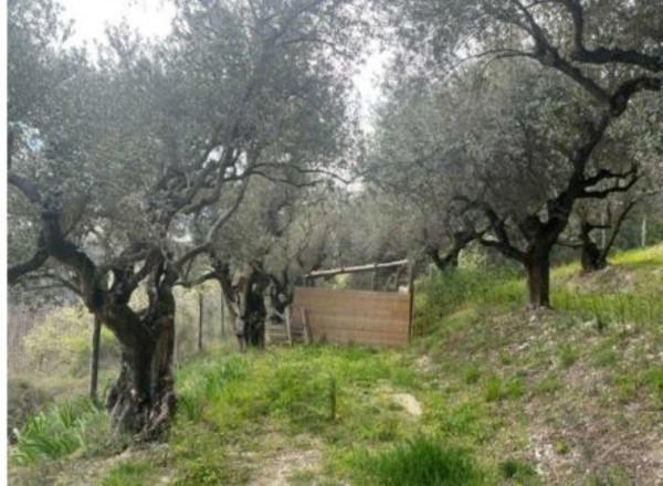 Terreno agricolo in vendita a Mezzane Di Sotto
