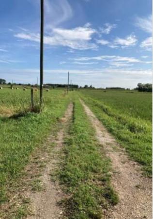 Terreno agricolo in vendita a Borgo Virgilio