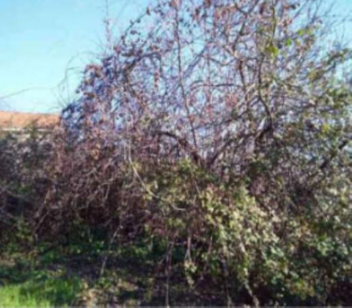 Appartamento in vendita a Teano