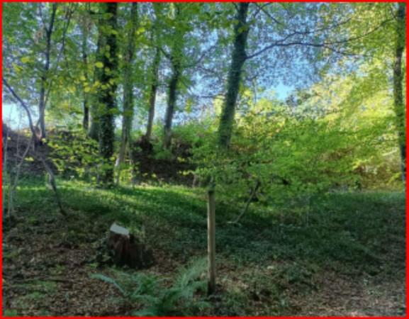 Terreno agricolo in vendita a Villa Guardia