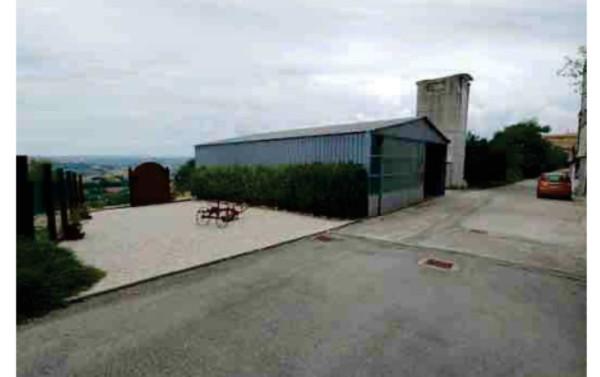 Terreno agricolo in vendita a Rapagnano