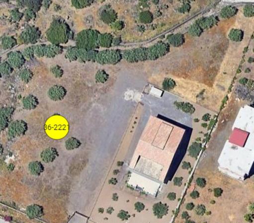 Terreno agricolo in vendita a Biancavilla