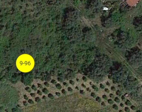 Terreno agricolo in vendita a Collesano