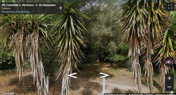Terreno agricolo in vendita a Rizziconi