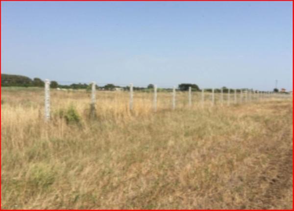 Terreno edificabile commerciale in vendita a Pomezia