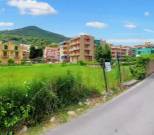 Terreno edificabile commerciale in vendita a Borghetto Santo Spirito