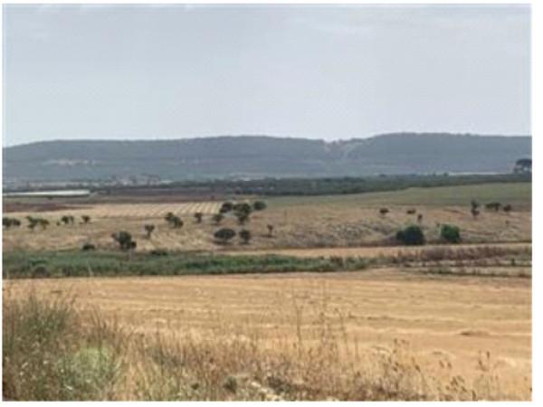 Terreno agricolo in vendita a Minervino Murge