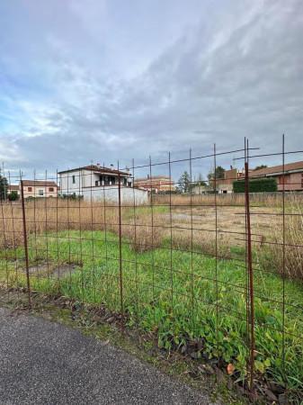 Terreno edificabile commerciale in vendita a Sant'Agata Sul Santerno
