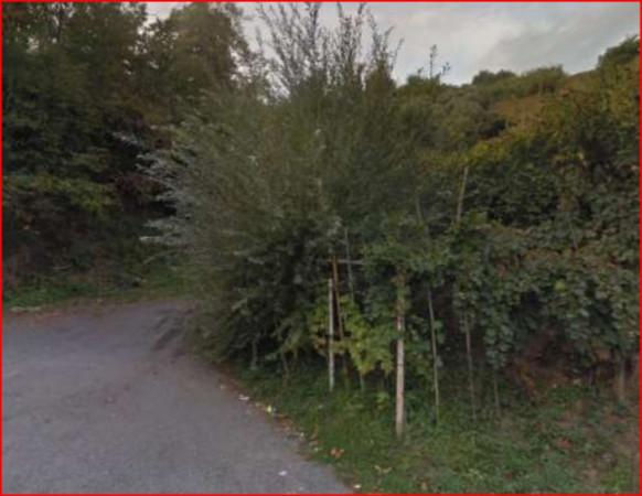 Terreno agricolo in vendita a Massa