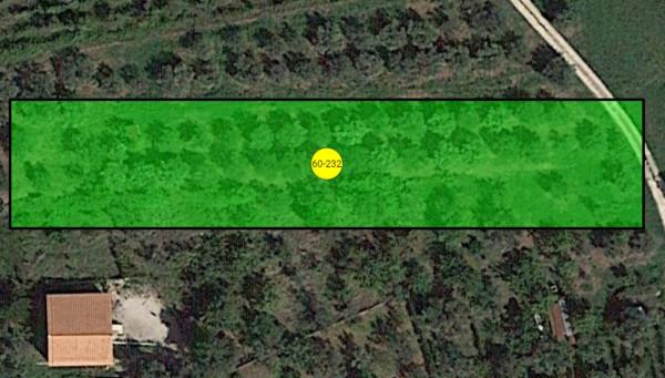 Terreno agricolo in vendita a Campagna