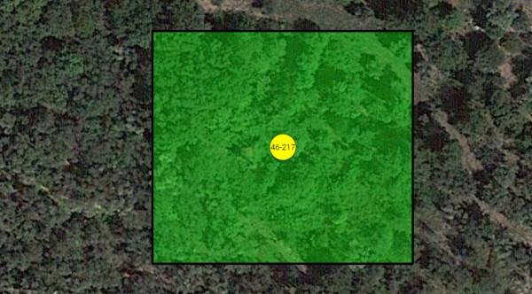 Terreno agricolo in vendita a Campagna