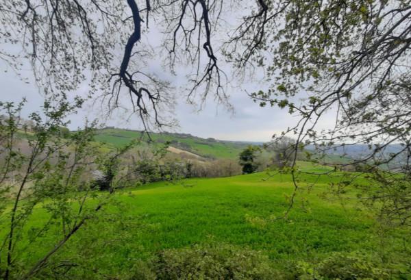 Terreno agricolo in vendita a San Lorenzo In Campo