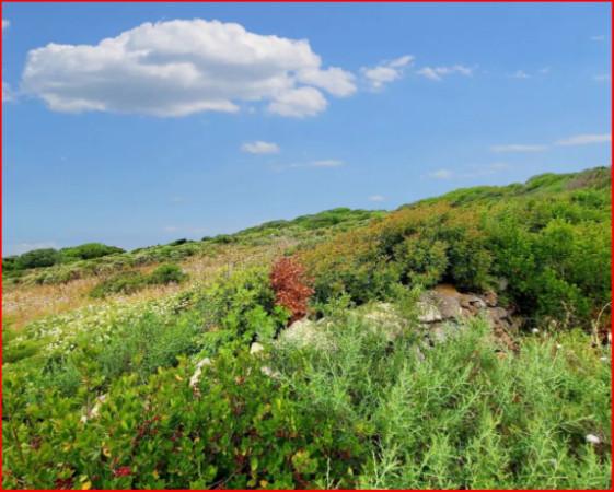Terreno edificabile residenziale in vendita a Santa Teresa Gallura