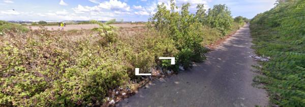 Terreno agricolo in vendita a Melissano