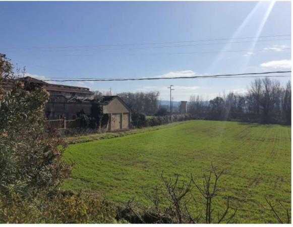 Terreno agricolo in vendita a Fratta Todina