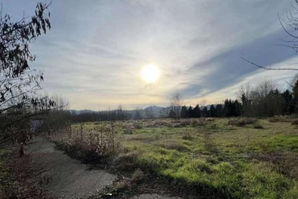 Terreno edificabile residenziale in vendita a Riolo Terme