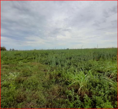 Terreno agricolo in vendita a Udine