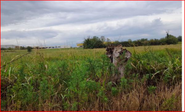 Terreno agricolo in vendita a Udine