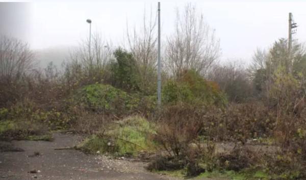 Terreno edificabile residenziale in vendita a Pontedera