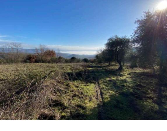 Terreno agricolo in vendita a Allerona